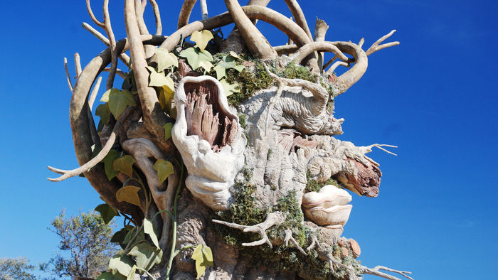 Heads above the Water? Writing History in the Anthropocene - SPUI25